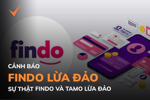 Findo có lừa đảo không? Vì sao Findo.vn và Tamo.vn bị bắt